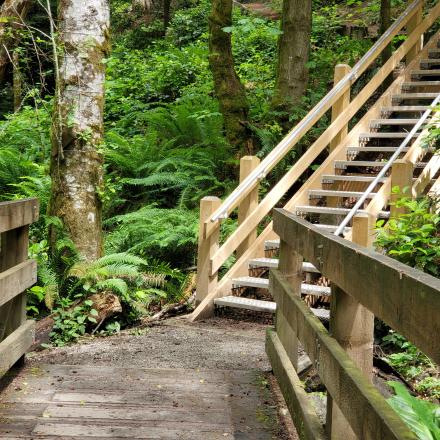 Parks & Trails | City of Colwood